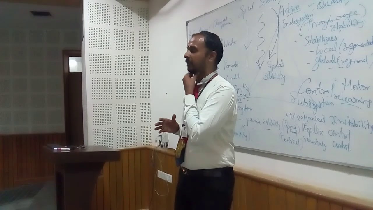SPINE BIOMECHANICS- SPINAL STABILITY WHITE & PANJABI MODEL - YouTube