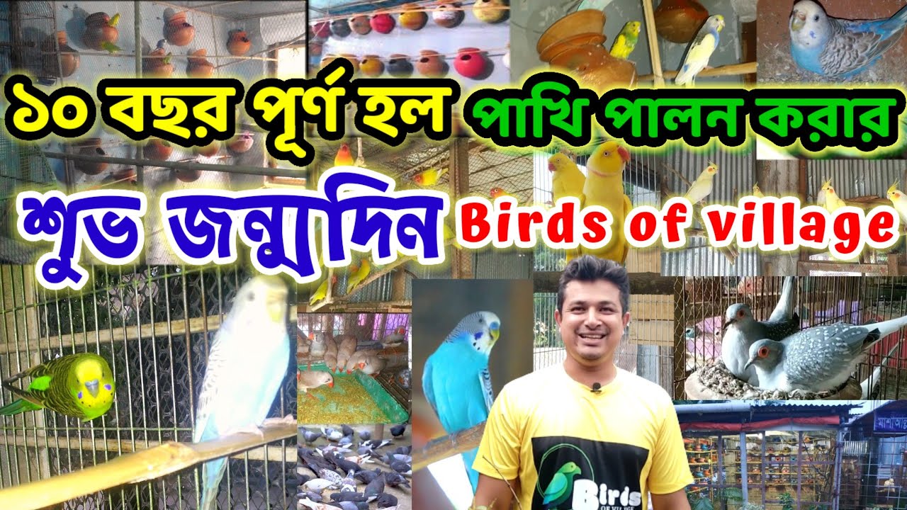 ১০ বছর পূর্ণ হল পাখি পালন করার || শুভ জন্মদিন Birds of Village Aviary ...