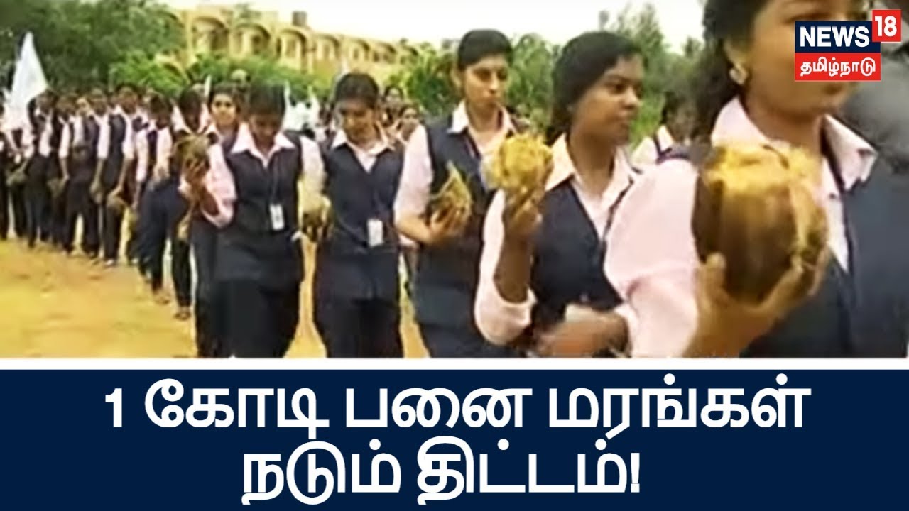 தமிழகம் முழுவதும் பனை மரங்கள் நடும் திட்டம்! | Palm Tree planting ...