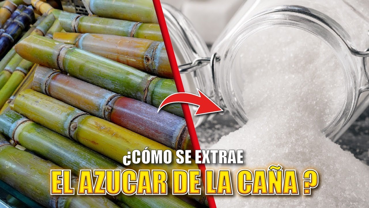 💥💥ASÍ es COMO se HACE el AZÚCAR🍙🍙 - YouTube