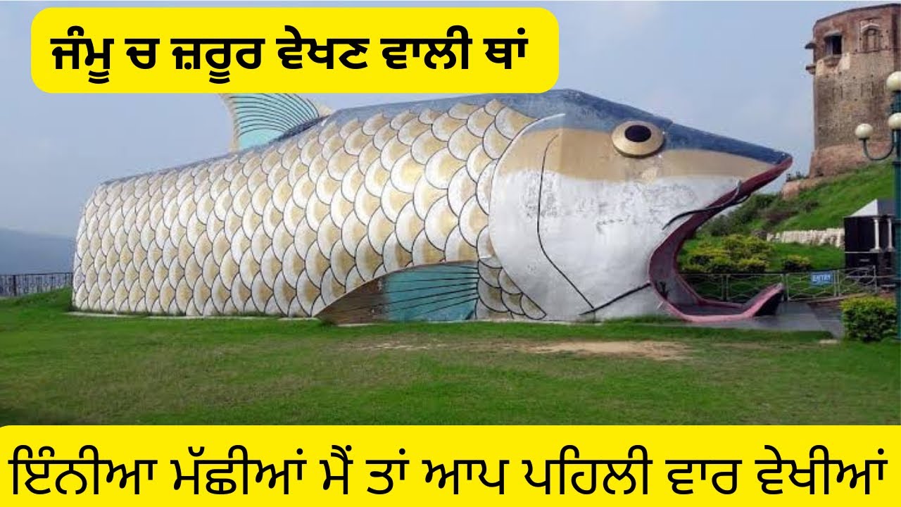 FISH AQUARIUM JAMMU BAGH E BAHU || UNFILTERED VIDEO || ISRU ALA ...