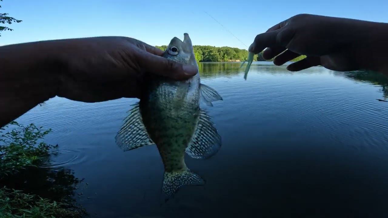 Ultralight Fishing For Anything That Bites!!! Yellow Perch, Crappies ...