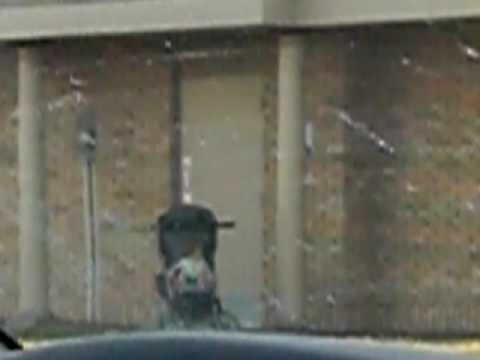 This guy's really gotta pee!