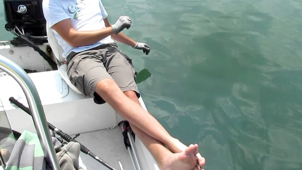 silure meerval handvissen sebbe steven luc op de rhone - YouTube