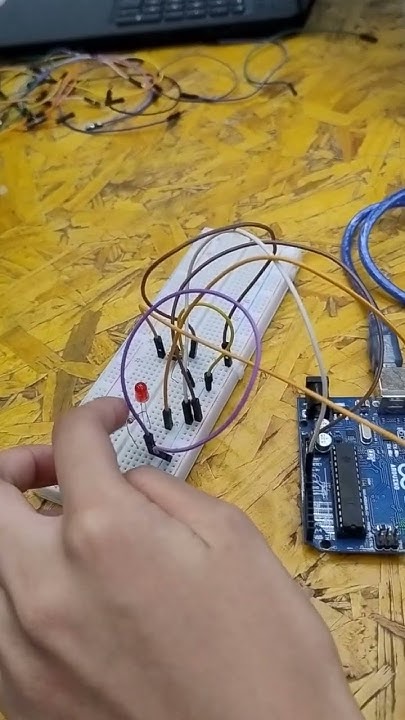 Arduino Arduinoproject Arduinouno Programming Tinkercad Autodesk Arduinoide Maker Led