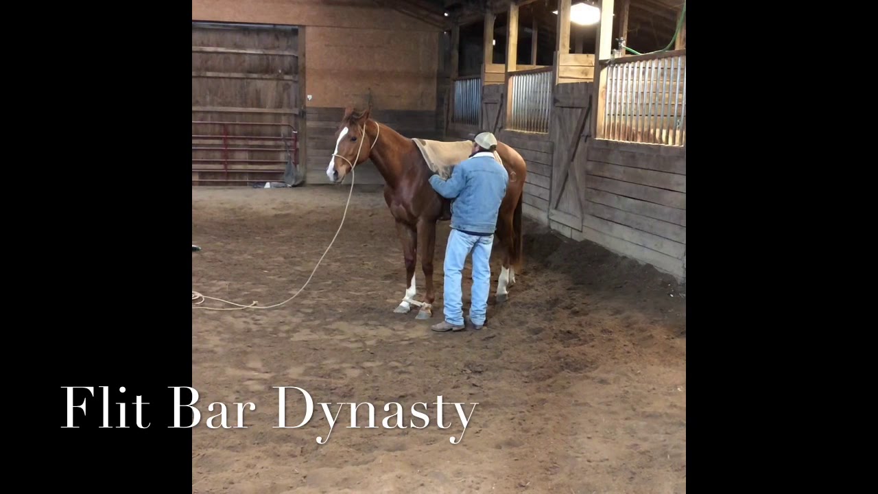 Flit Bar Dynasty Saddled - YouTube