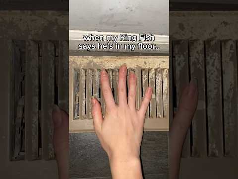 pookie went missing 😳