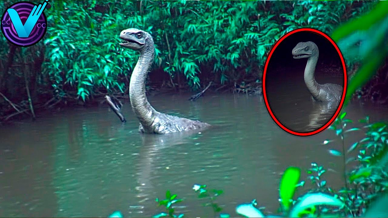 10 'Extinct' Animals That Were Caught on Camera Alive! 😱📸 - YouTube