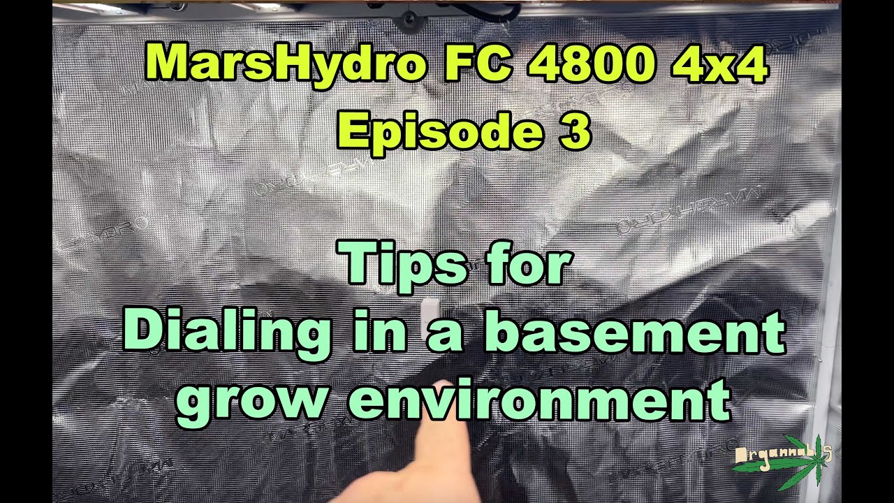 Dialing In The Basement Grow and Tips For Maintaining Environment And ...