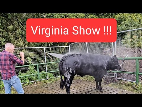 Virginia Show County Cavan #virginia #cavan - YouTube