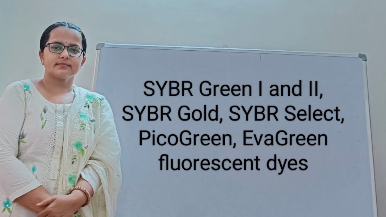 SYBR Green I & II | SYBR Gold | SYBR select | PicoGreen | EvaGreen ...