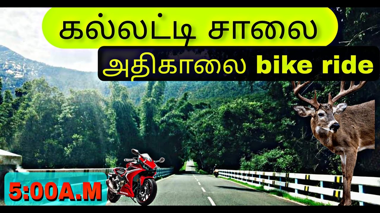 Ooty to masinagudi bike ride|kallatti road|5:00A.M bike ride in Tamil ...
