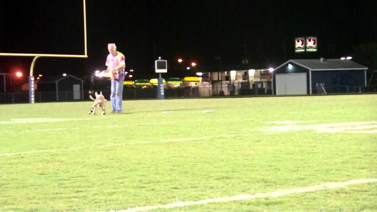 Karma round one - YouTube
