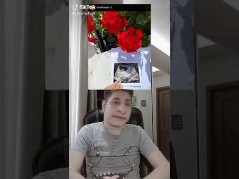 Lana Rhoades Pregnant TikTok Compilation