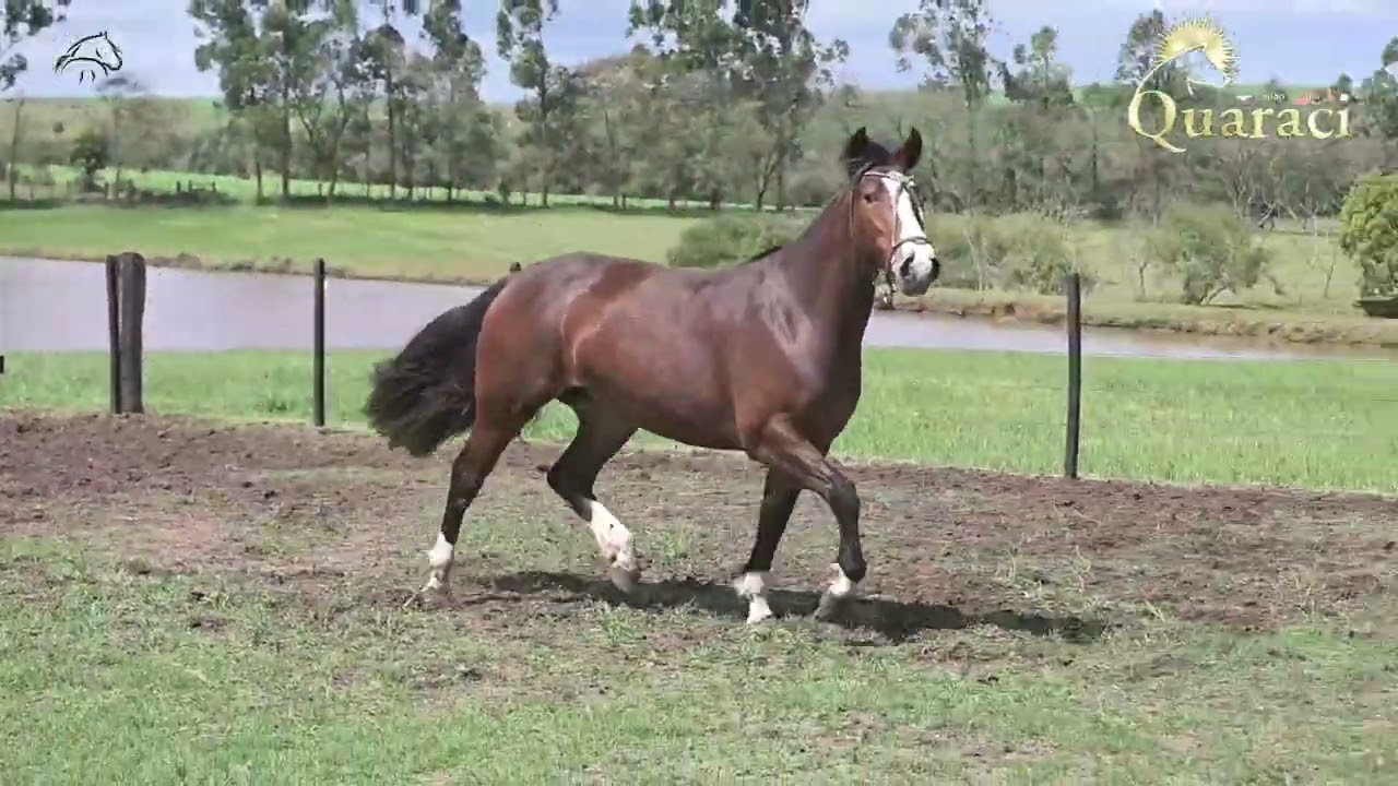 EULA DE QUARACI - YouTube