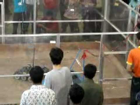 Robowars (Techfest 2009 - IIT Bombay) - YouTube
