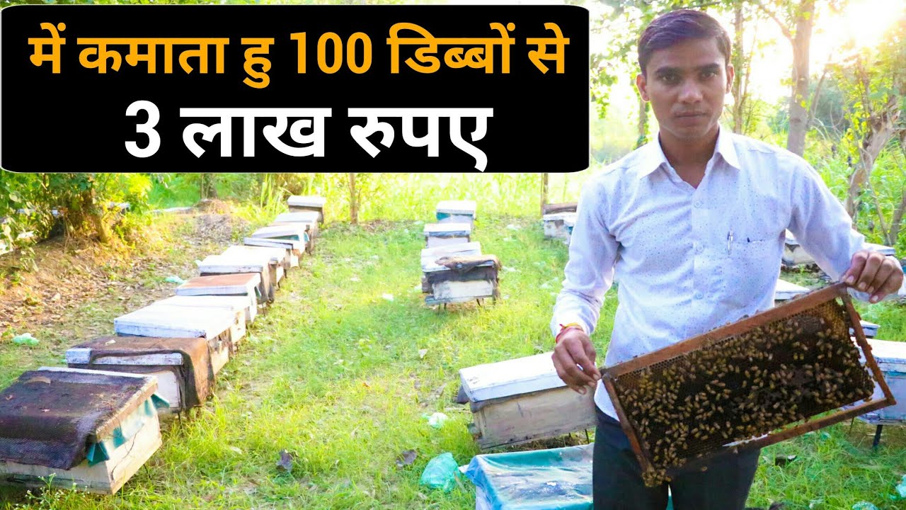 मधुमखी पालन से कमाता हु लाखो सालाना | Successful Farmer in Bee Farming ...