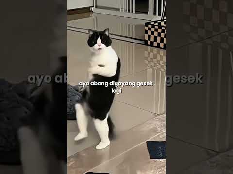 Goyang Gesek - Cupii Cupita