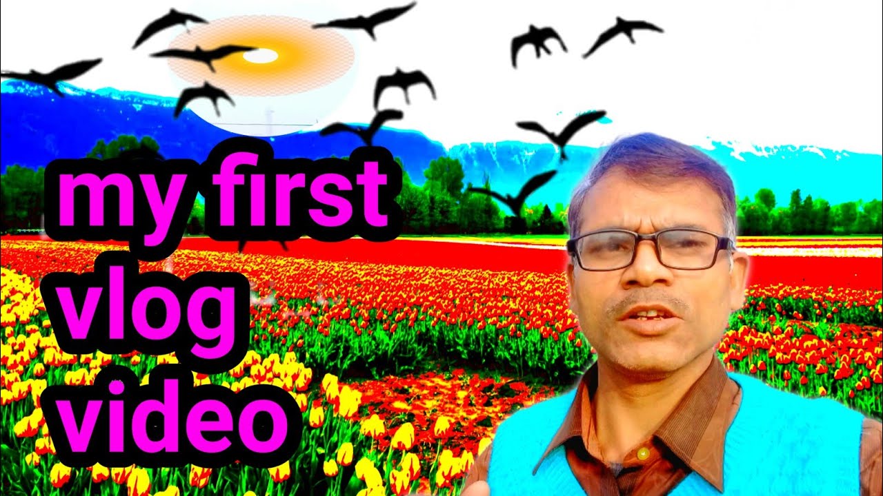 My First Vlog 😂 || Comedy Vlog 😂 😅 || Dhiru Dey vlogs l anil vlog ...