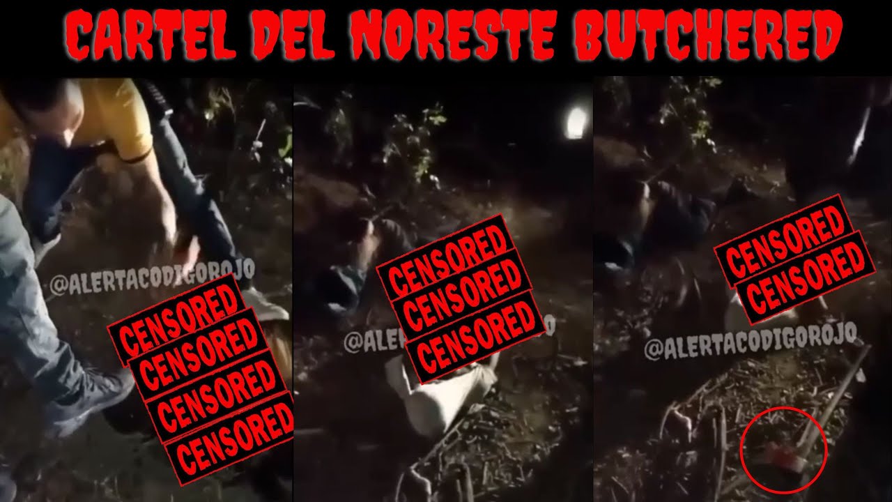 The Gulf Cartel Go Old School In A Shocking New Cartel Video | Cartel ...