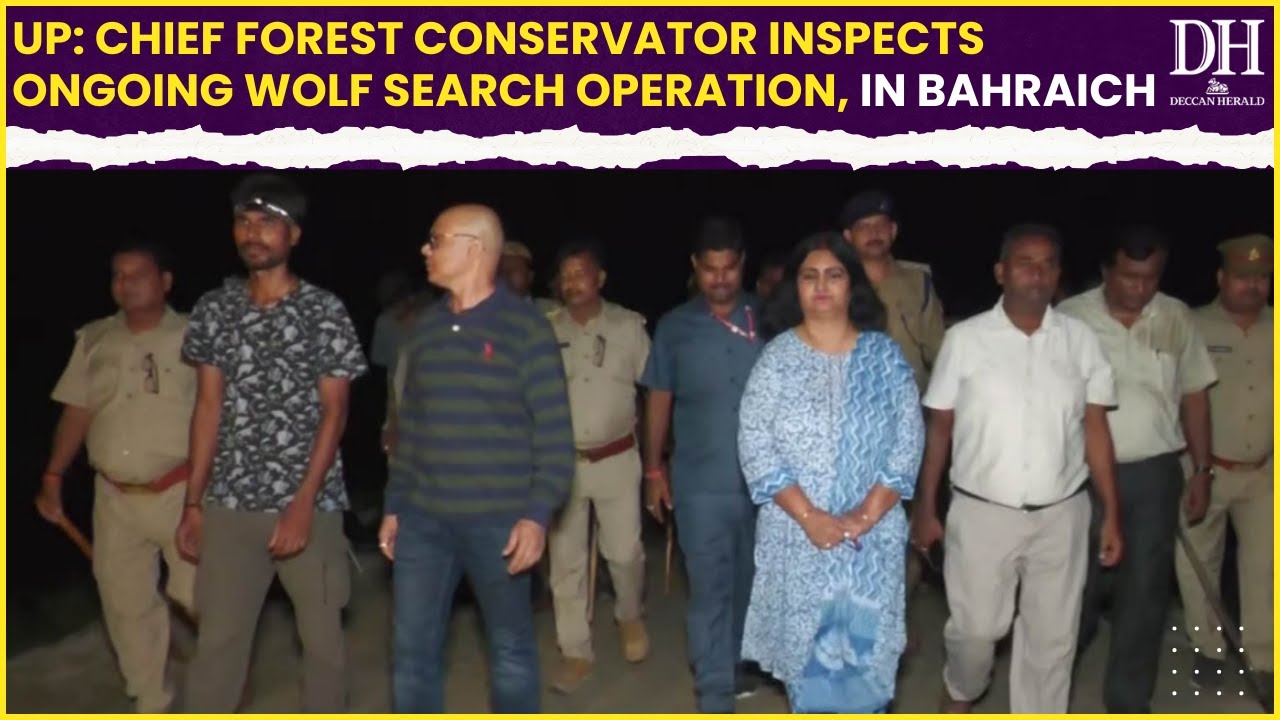 UP Wolf Attack News: Chief Forest Conservator inspects ongoing wolf ...