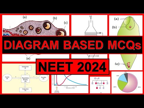 Diagrams Based MCQs for NEET 2024 | NEET 2024 Practice MCQs - YouTube
