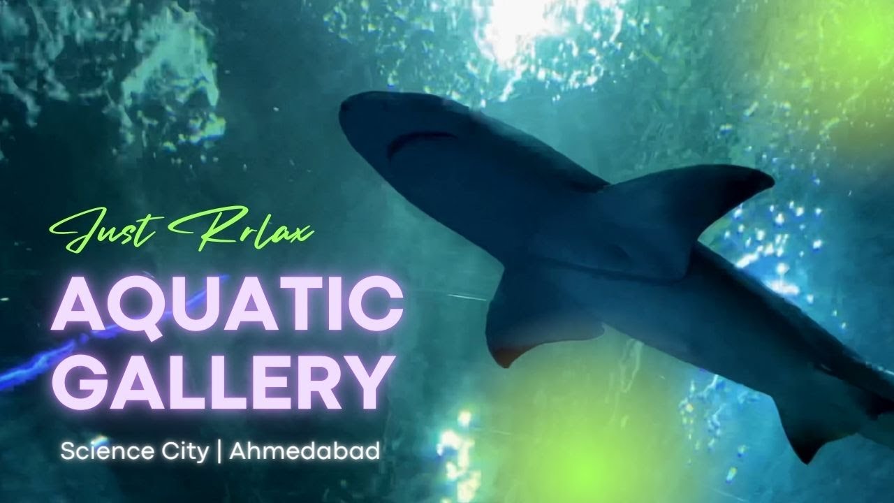 Aquatic Gallery | Science City | Ahmedabad | In 4K with Ambient Music ...