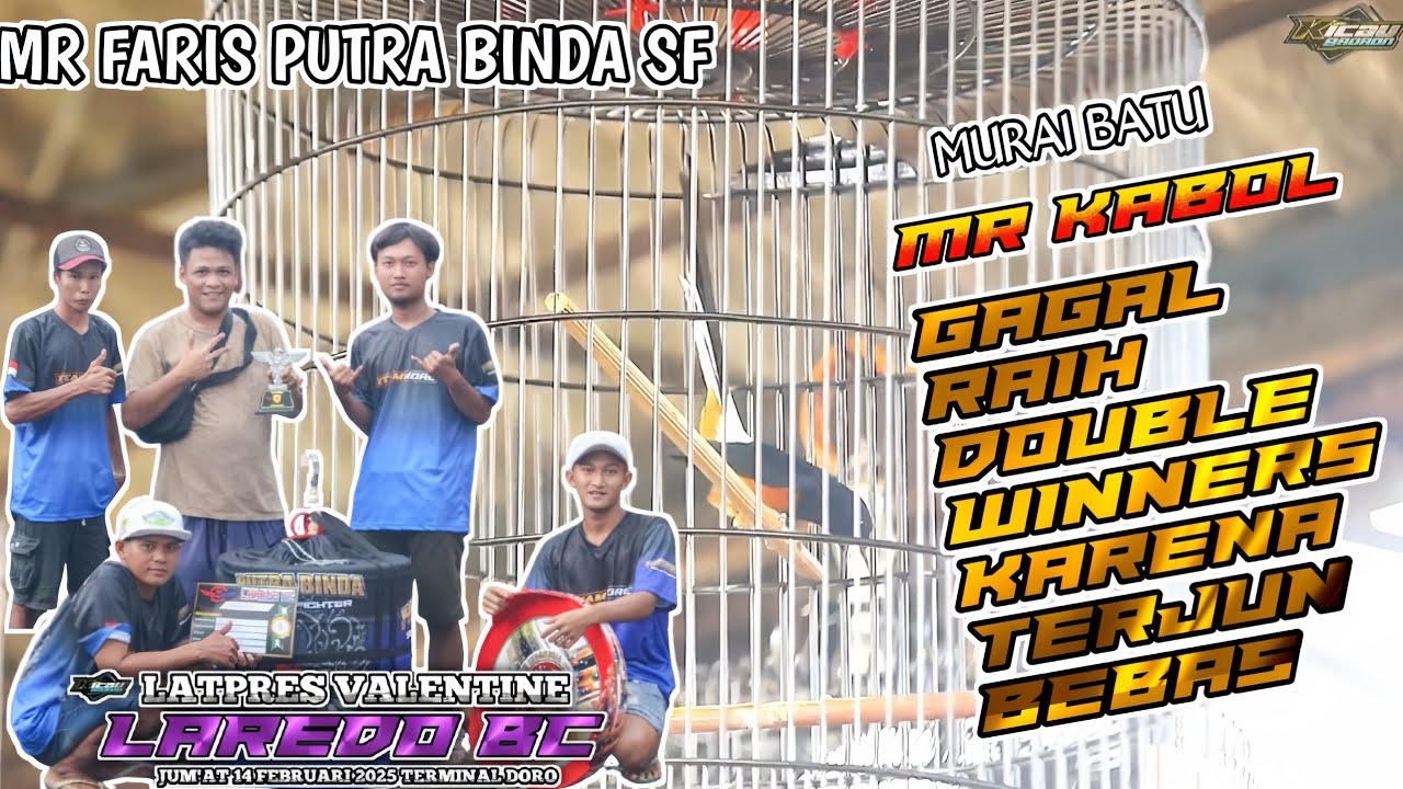 MURAI BATU MR KABOL‼️MILIK MR FARIS PUTRA BINDA SF RELAKAN GELAR DOUBLE ...