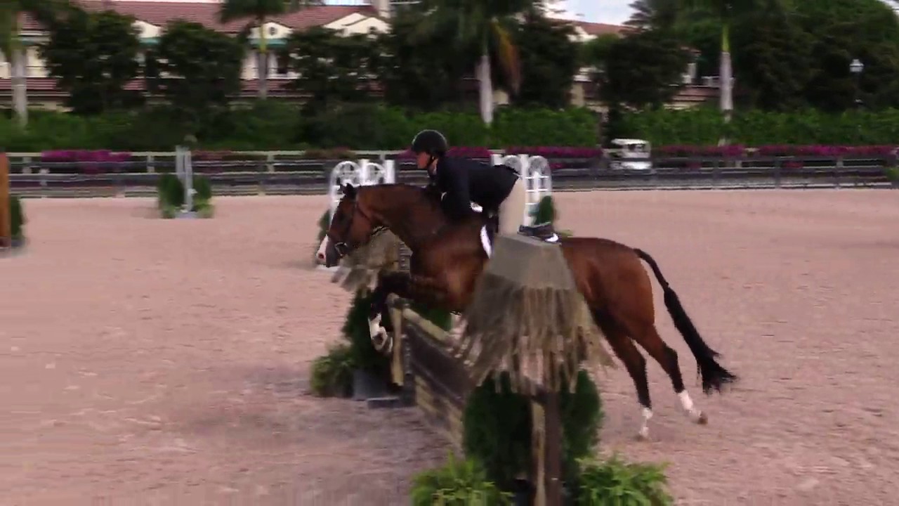 Cancara - 3' Green Hunter - YouTube