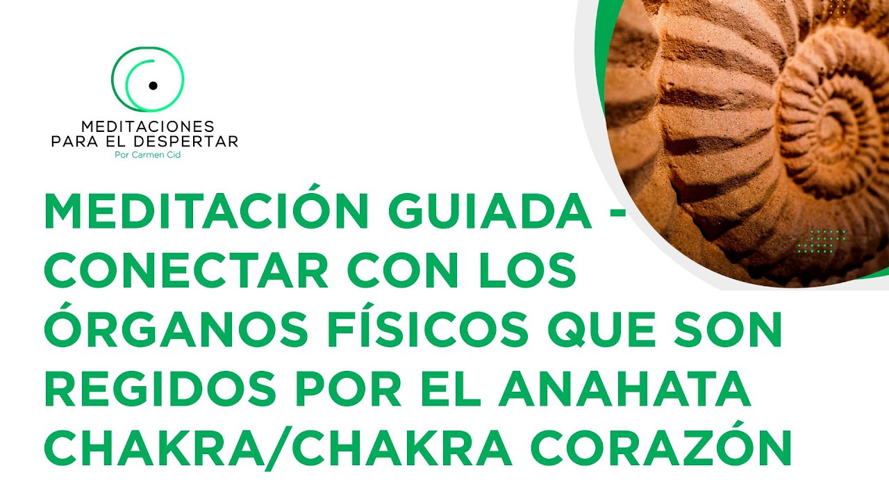 MEDITACIÓN GUIADA - CONECTAR CON LOS ÓRGANOS FÍSICOS REGIDOS POR ...