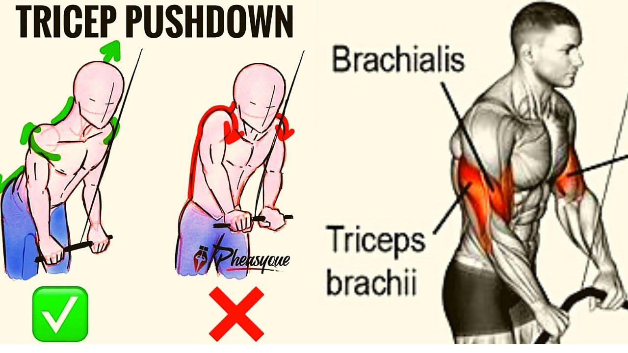 10 PROPER FORM OF BASIC EXERCICES WHEN THE GYM WILL OPEN - YouTube