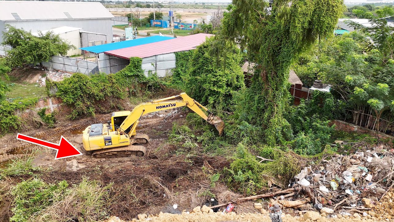Komatsu PC210 Excavator Pushing Over a Big Trees - Clearing Forest ...