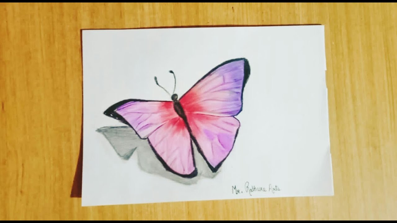 How to draw 3D Butterfly drawing with colour pencil step by step ...