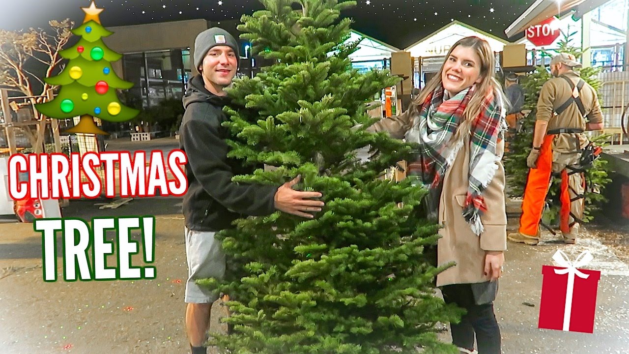 Getting Our Christmas Tree Vlogmas Day 3 Youtube
