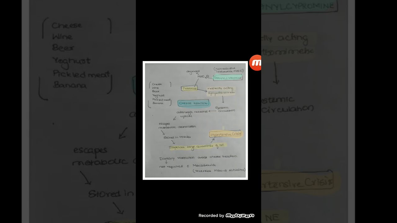 Cheese reaction - YouTube