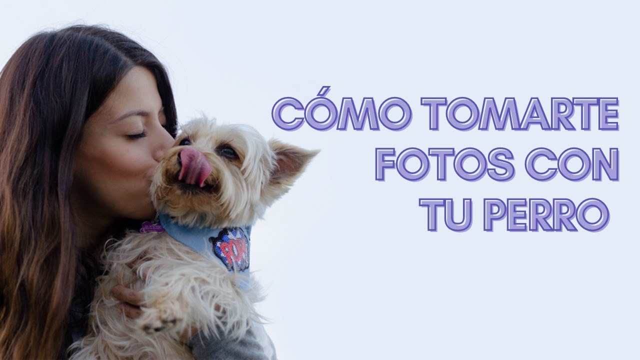 CÓMO TOMARTE FOTOS CON TU PERRO | TIPS PARA HACER FOTOS CON MASCOTAS ...
