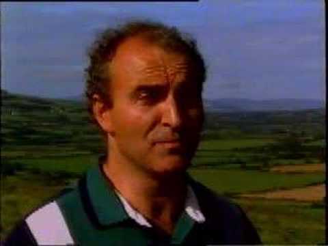 Dr Daniel Gahan's thoughts on 1798 - YouTube