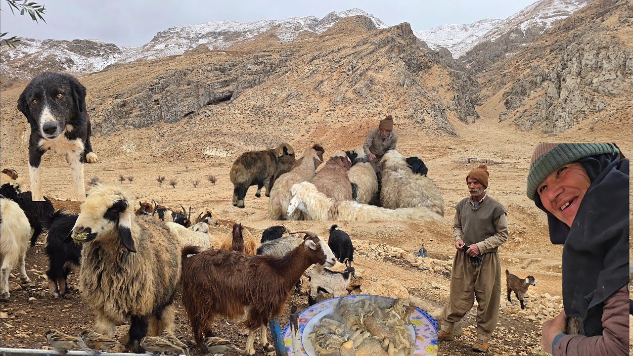 🌧Nomadic Life: A Rainy Night in Nomadic Life: Challenges and Beauty in ...
