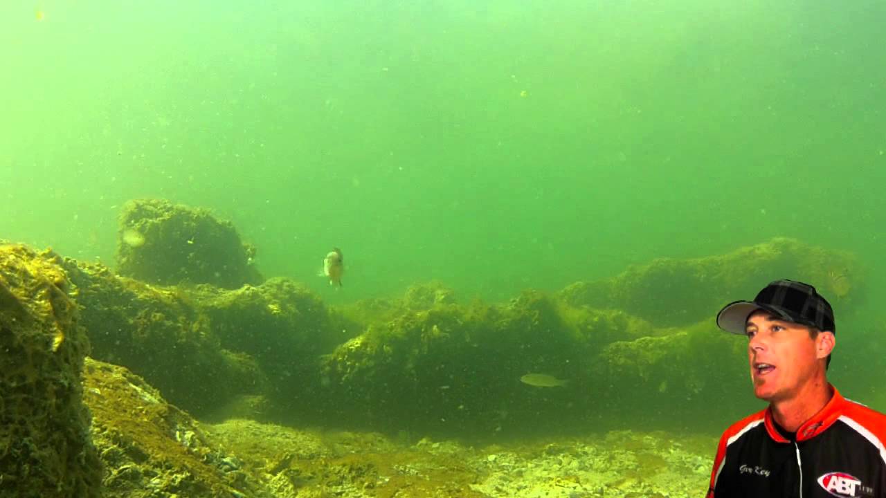 ABT Lures Mini X-2 Crankbait Lake Havasu - YouTube
