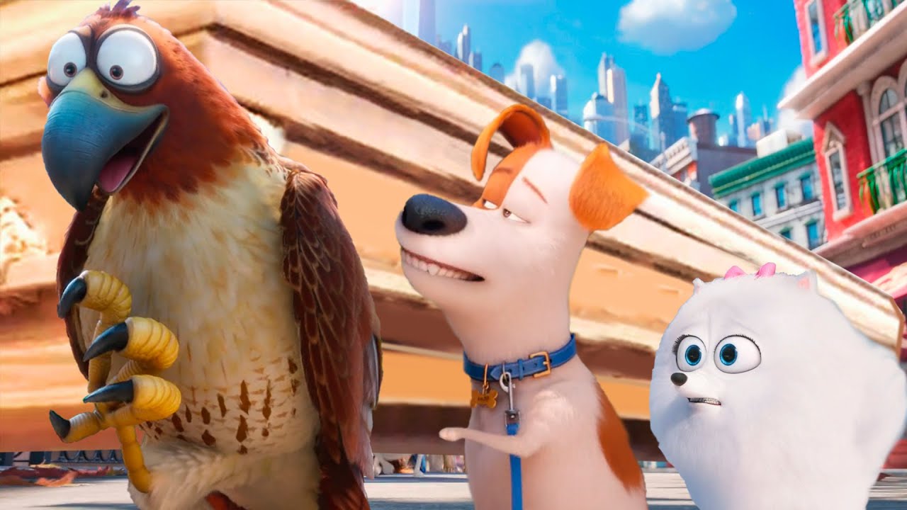 Tiberius. Secret Life of Pets - Coffin Dance Song [COVER] - YouTube