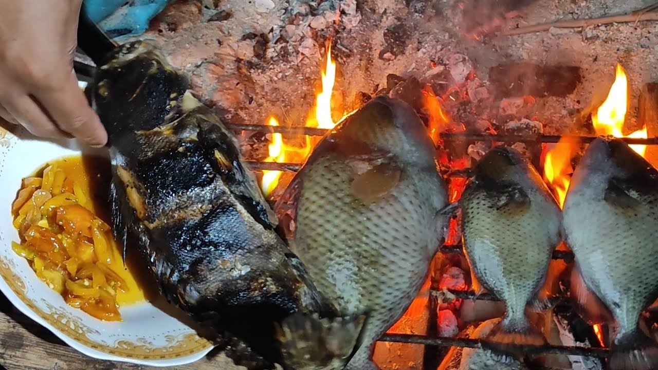Masih Segar,.! Ikan Pogot & Kerapu Hasil Pancingan, Langsung Dibakar ...