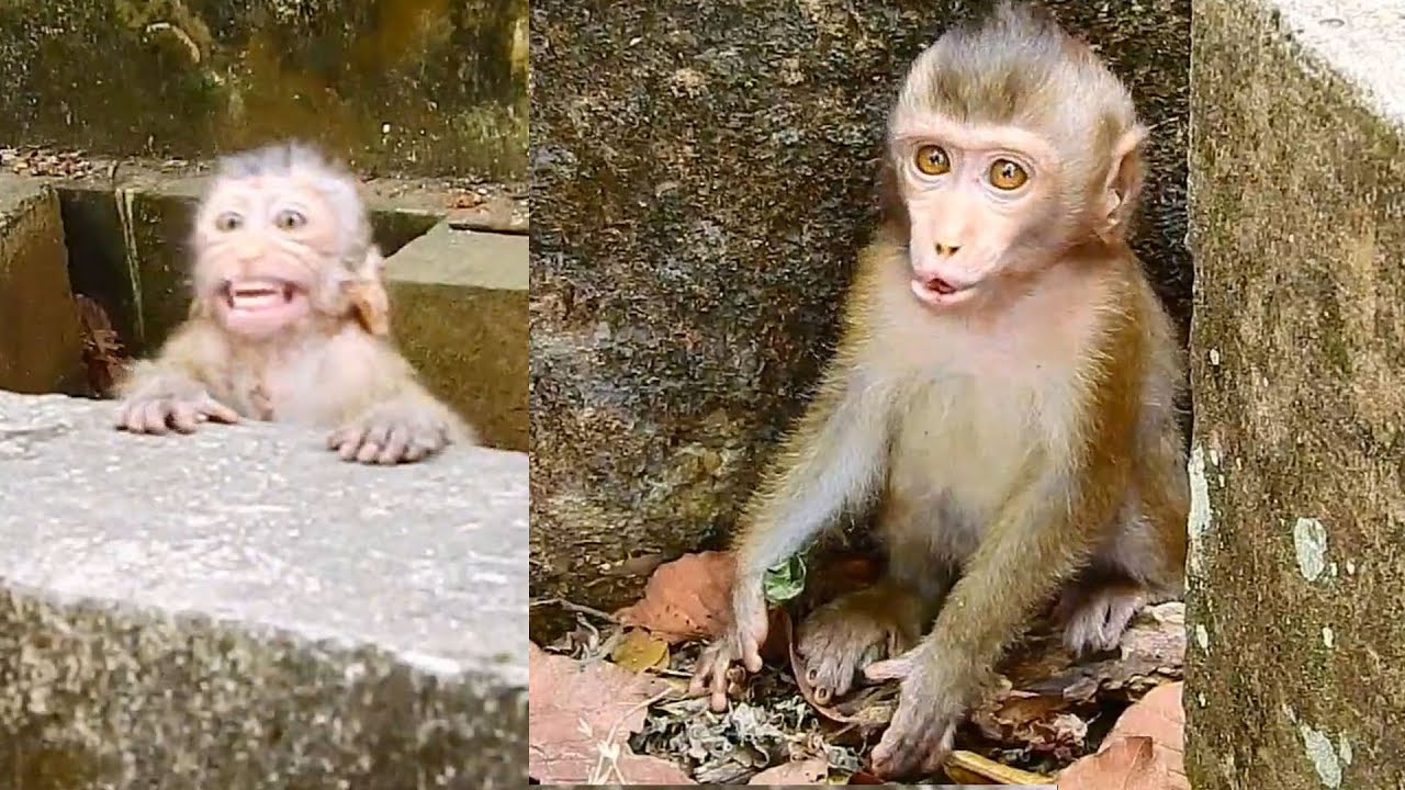 Poooor BB Rainbow call Where Mom Libby I feel so hungry so Rainbow ...