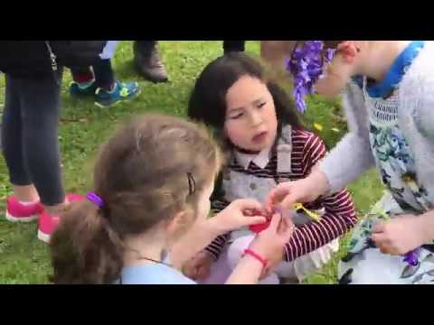 The Ballindaggin May Bush - YouTube