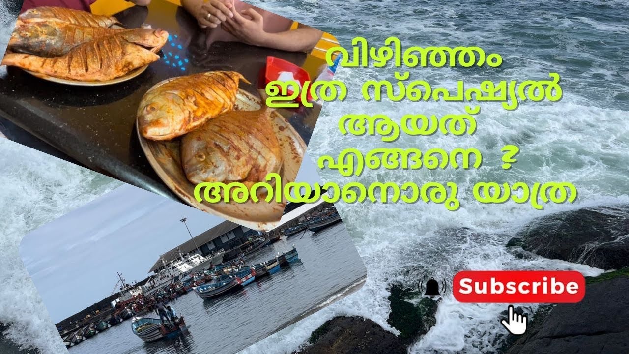 Vizhinjam | Where the most upcoming port in India resides | Trivandrum ...