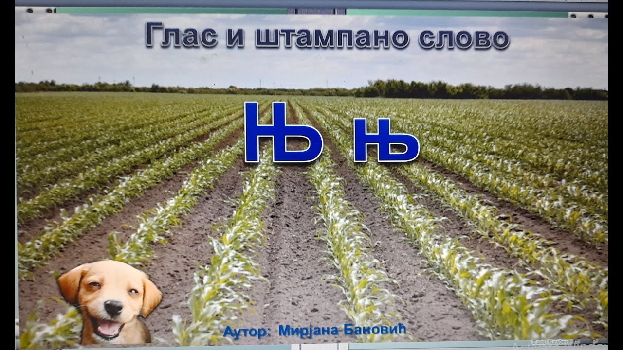 Глас и штампано слово Њњ - YouTube