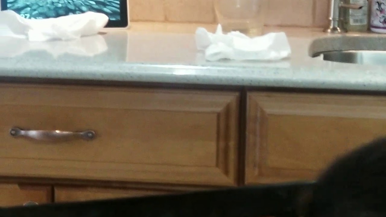 Hey googoots - YouTube