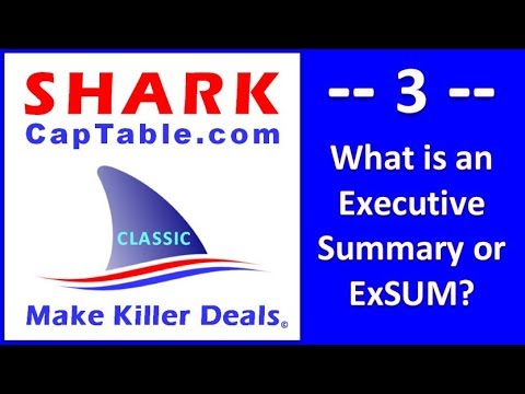 3_What is an Executive Summary or ExSUM ? - YouTube