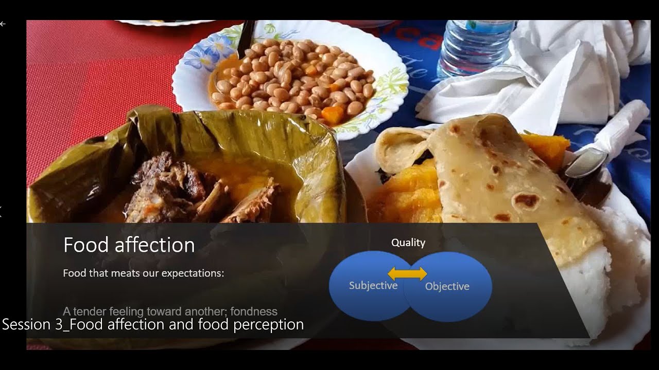 Session Three: Food Affection and Food Perception - YouTube