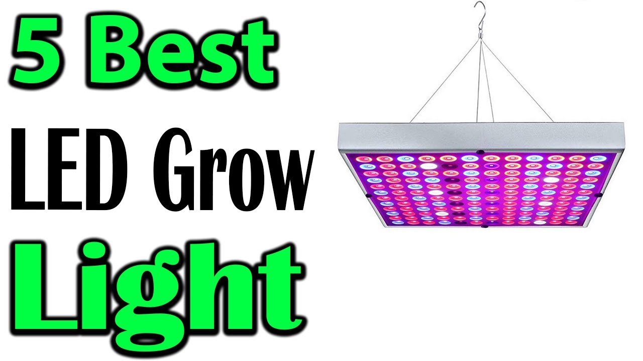 TOP 5 BEST LED Grow Light On Aliexpress 2024 - YouTube