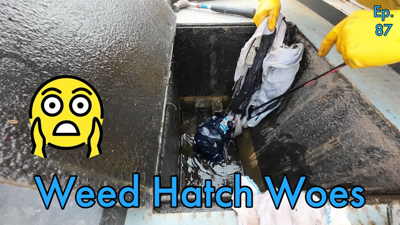 Weed Hatch Woes: Trentham Lock to Barlaston with Narrowboat TOMMi ...